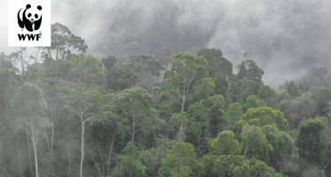 WWF Suisse - Déforestation importée l’empreinte des importations ...