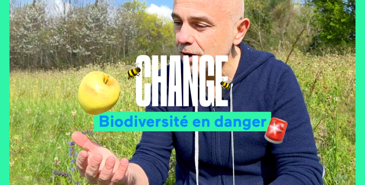 Multimédia - planet-score